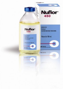 Nuflor® 450 s’administre désormais aussi par voie intramusculaire