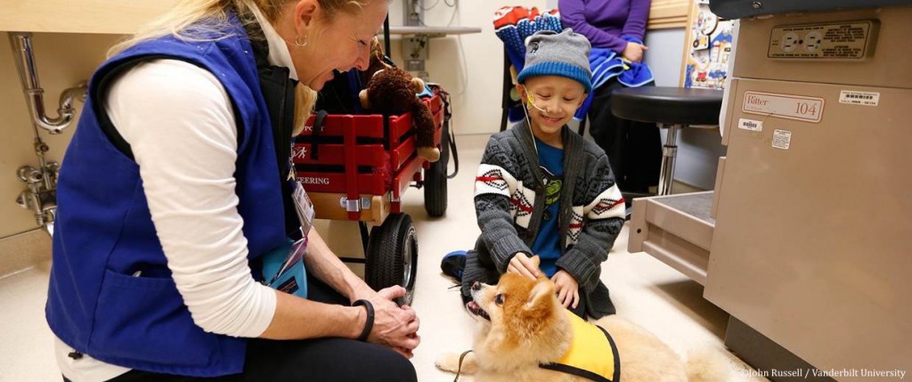 Chien de thérapie : des effets bénéfiques avérés sur les enfants cancéreux