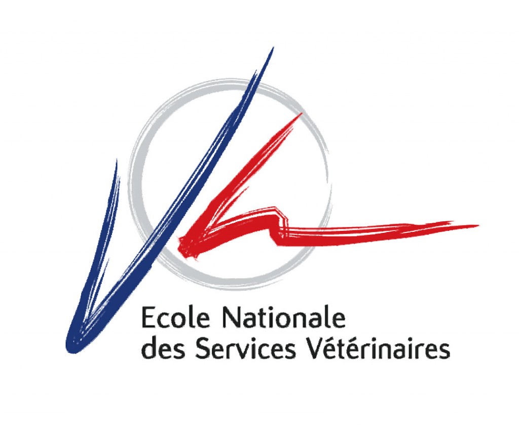 Étudiants vétérinaires : dix bourses d’études de 5000 $ offertes cette ...